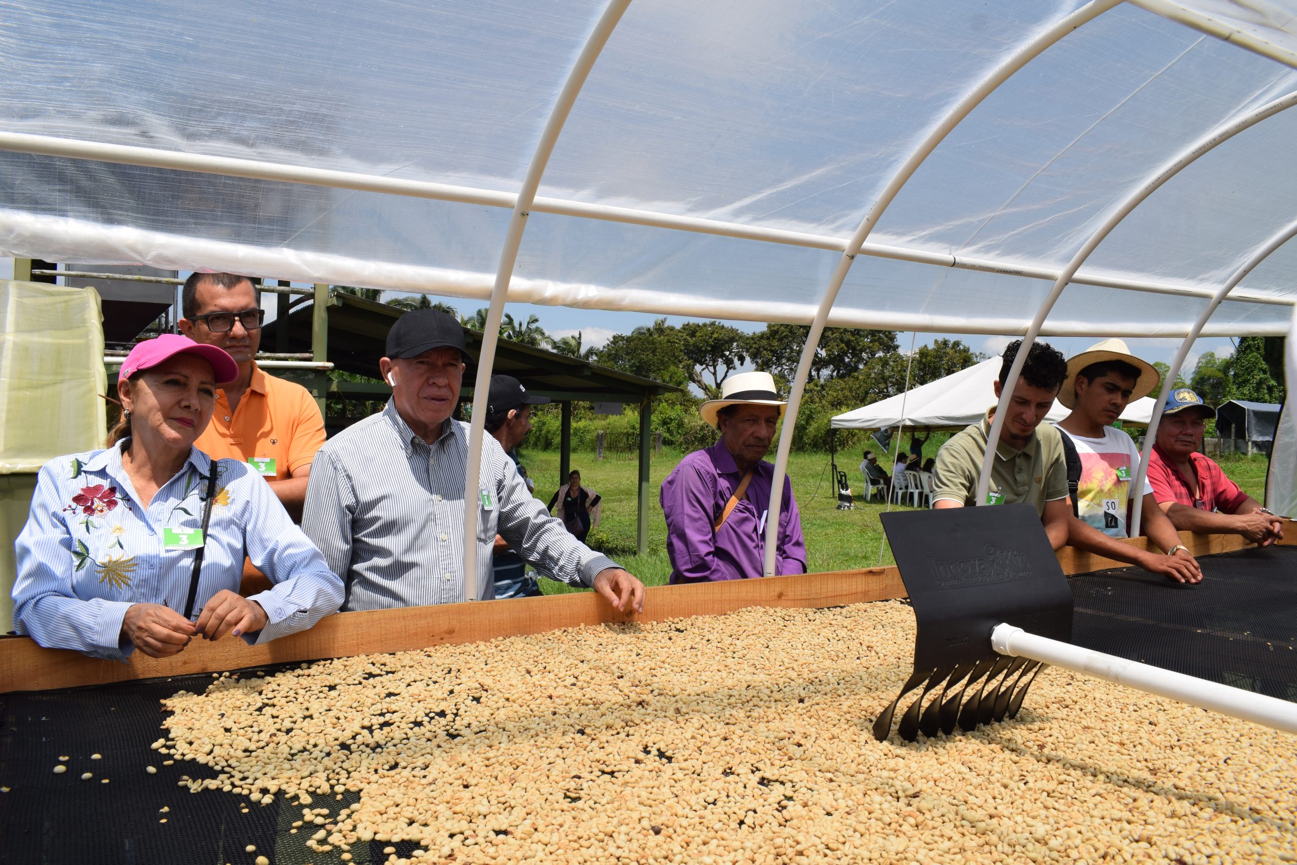 900 caficultores del Quindío participan en días de campo y en ...